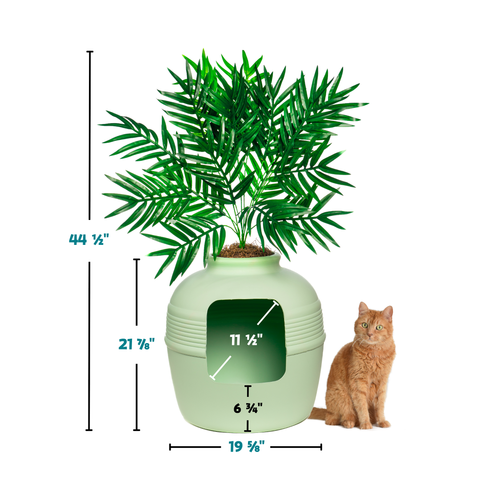 Original Litter Box Seagrass Green – Good Pet Stuff Co.